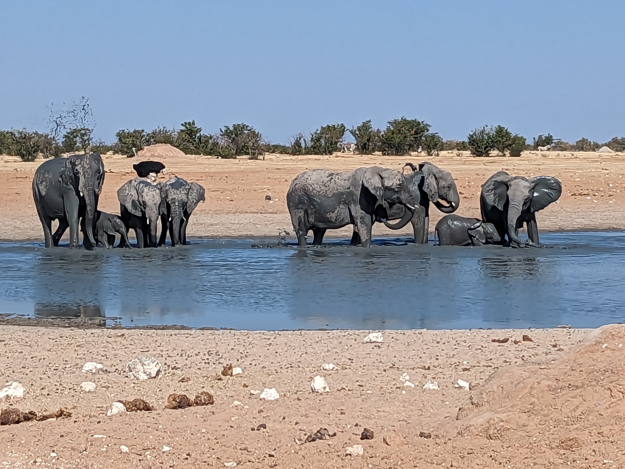 Namibia’s seasons and weather