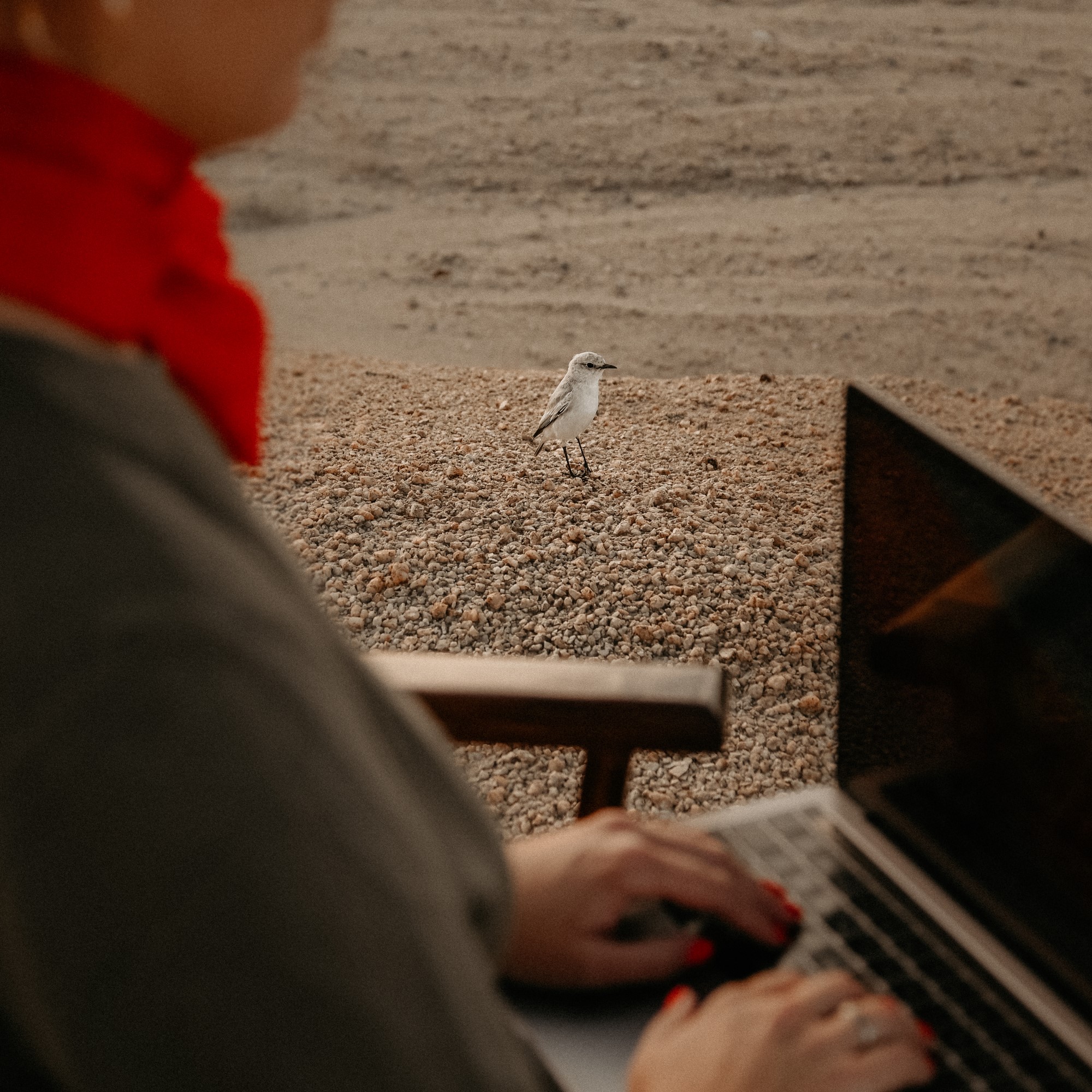 Kalahari Car Hire – Fleet of 4×4 rental cars